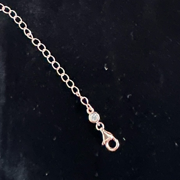 Jewelry | 2 Inch Necklace Extender With Lobster Claw Lock | Poshmark
